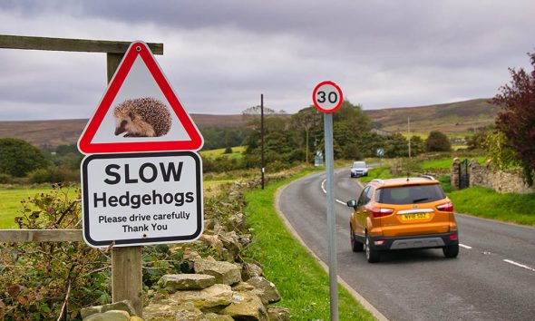 Signs of the Times Magazine